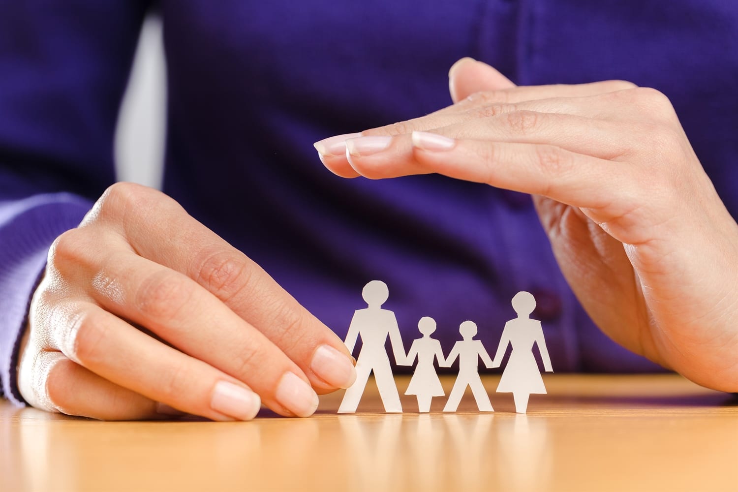 Asset Protection Planning by: Mark Fishbein of ALTA Estate Planning